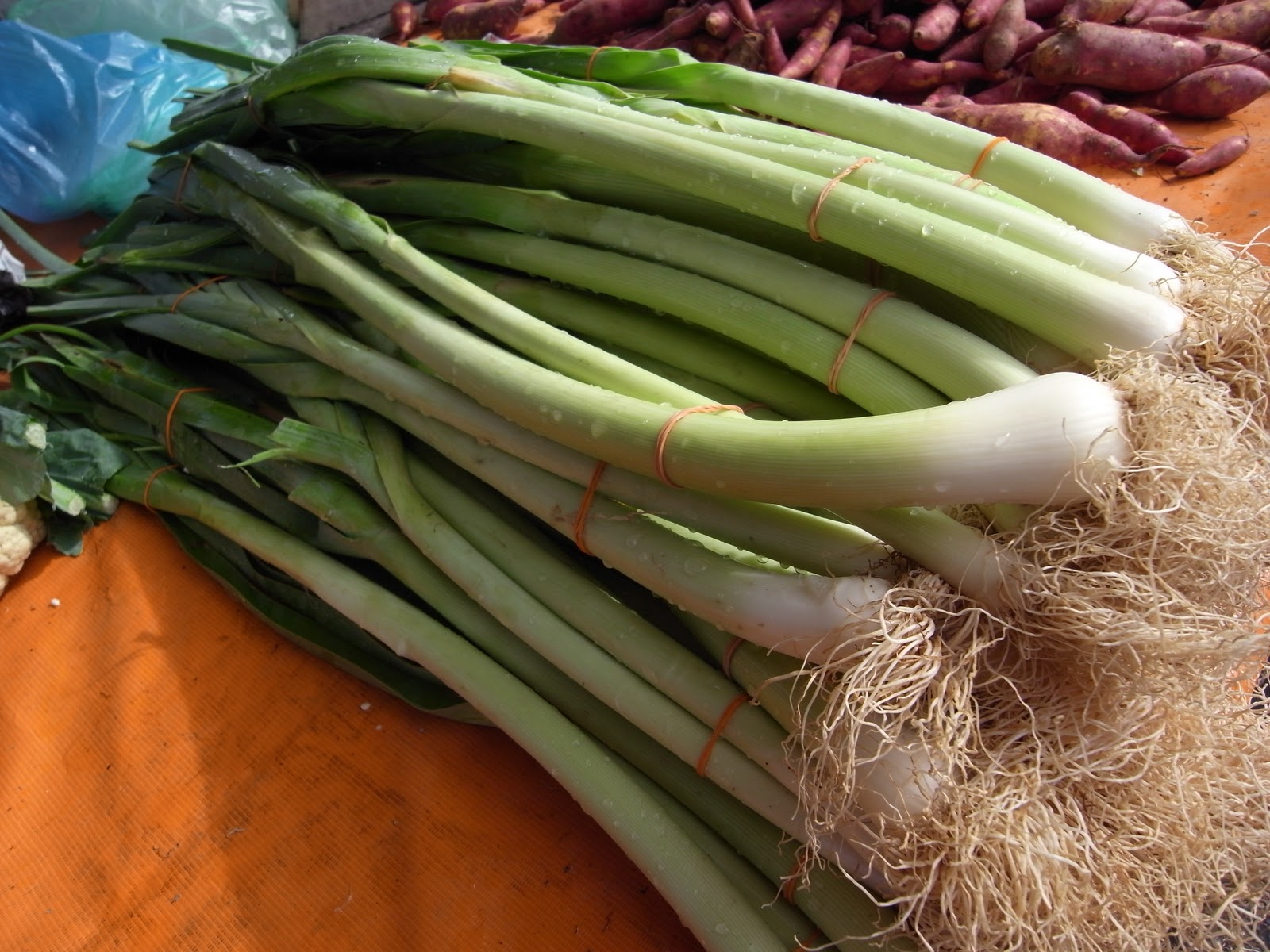 Melentur buluh biarlah dari rebungnya: Menjelajah ke Cameron Highlands