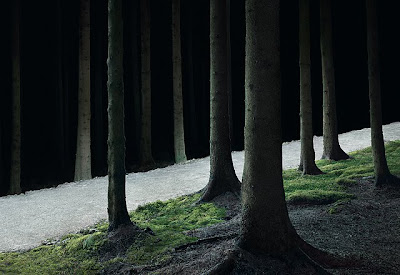 The Best Part - A Daily Art and Design Blog: Tim Simmons