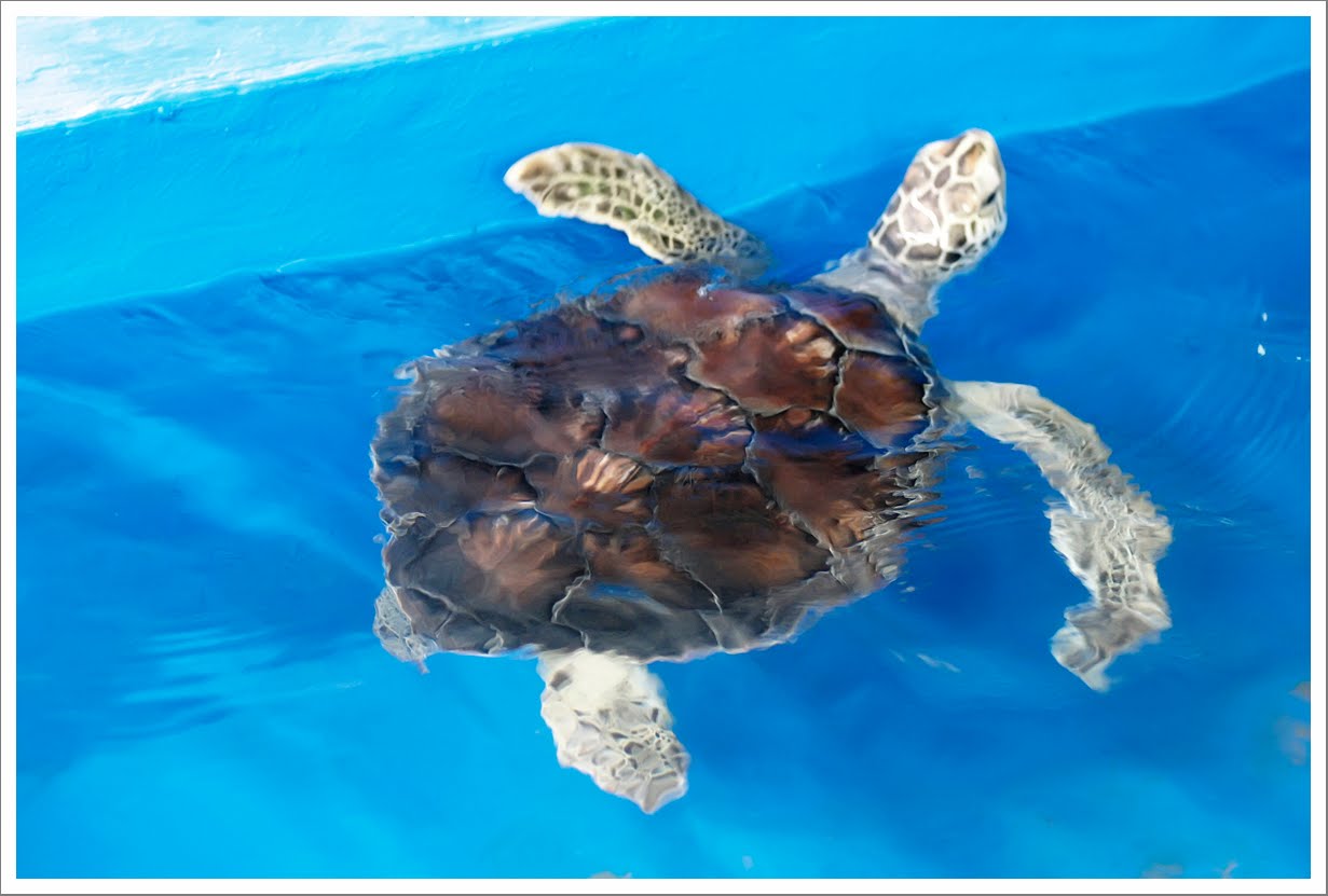 The photos of the series "Mexico by my eyes": The modern Mexican ...