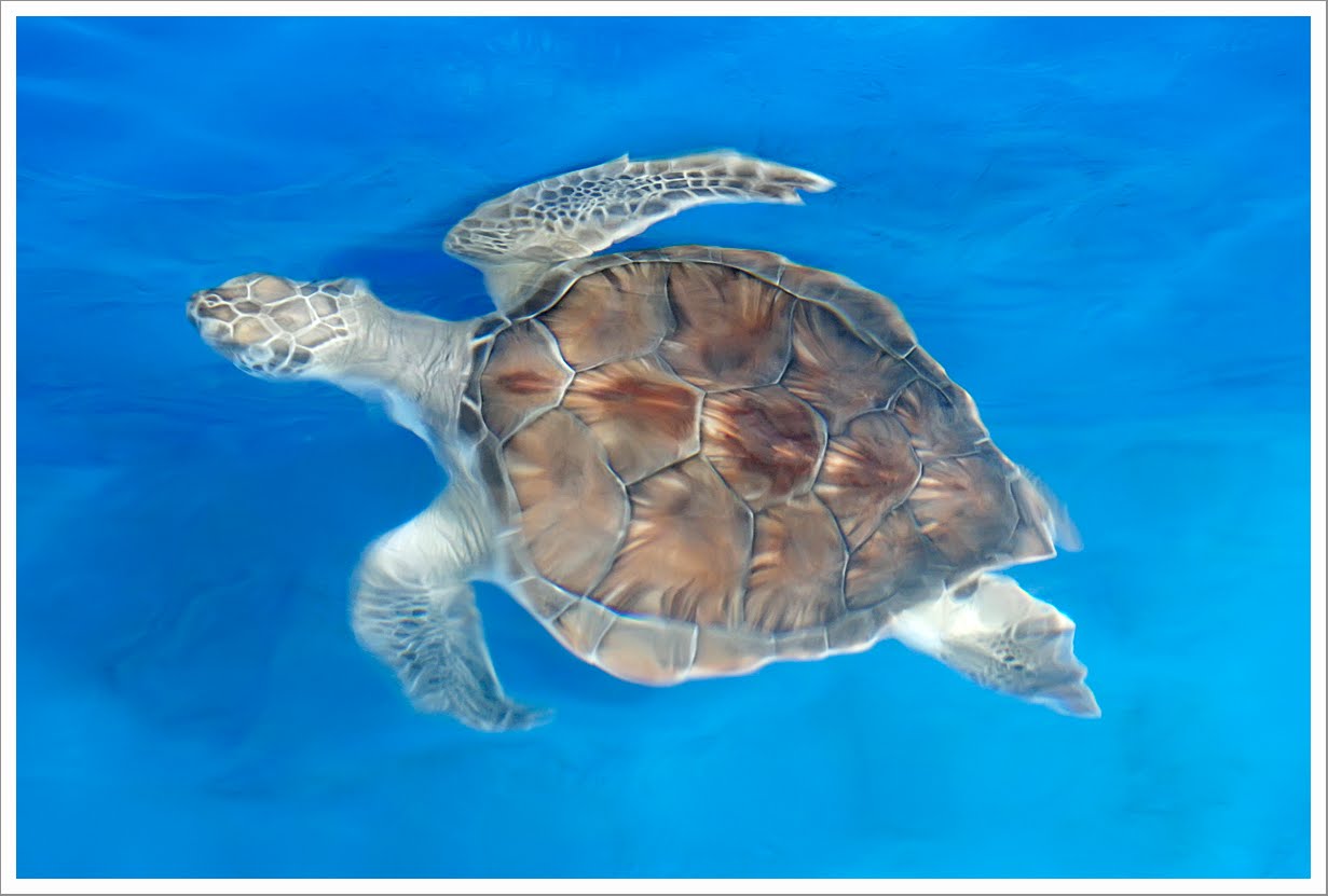 The photos of the series "Mexico by my eyes": The modern Mexican ...