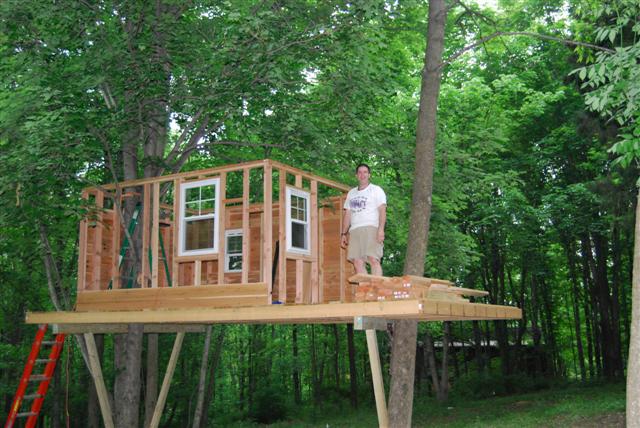 Virginia Lee: Treehouse Progress