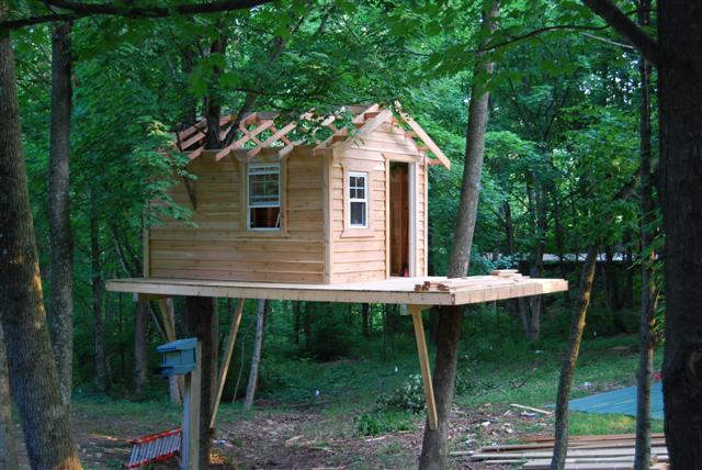 Virginia Lee: Treehouse Progress