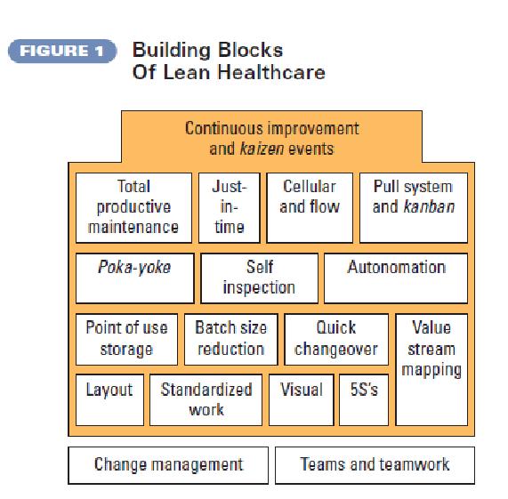 Fisioterapeuta Luís Miguel Brazão Gouveia: Make healthcare lean