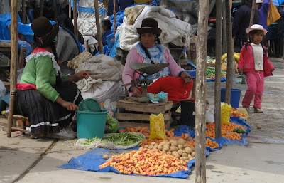 Veggie Revolution: In Peru: the plight of the indigenous Quechua