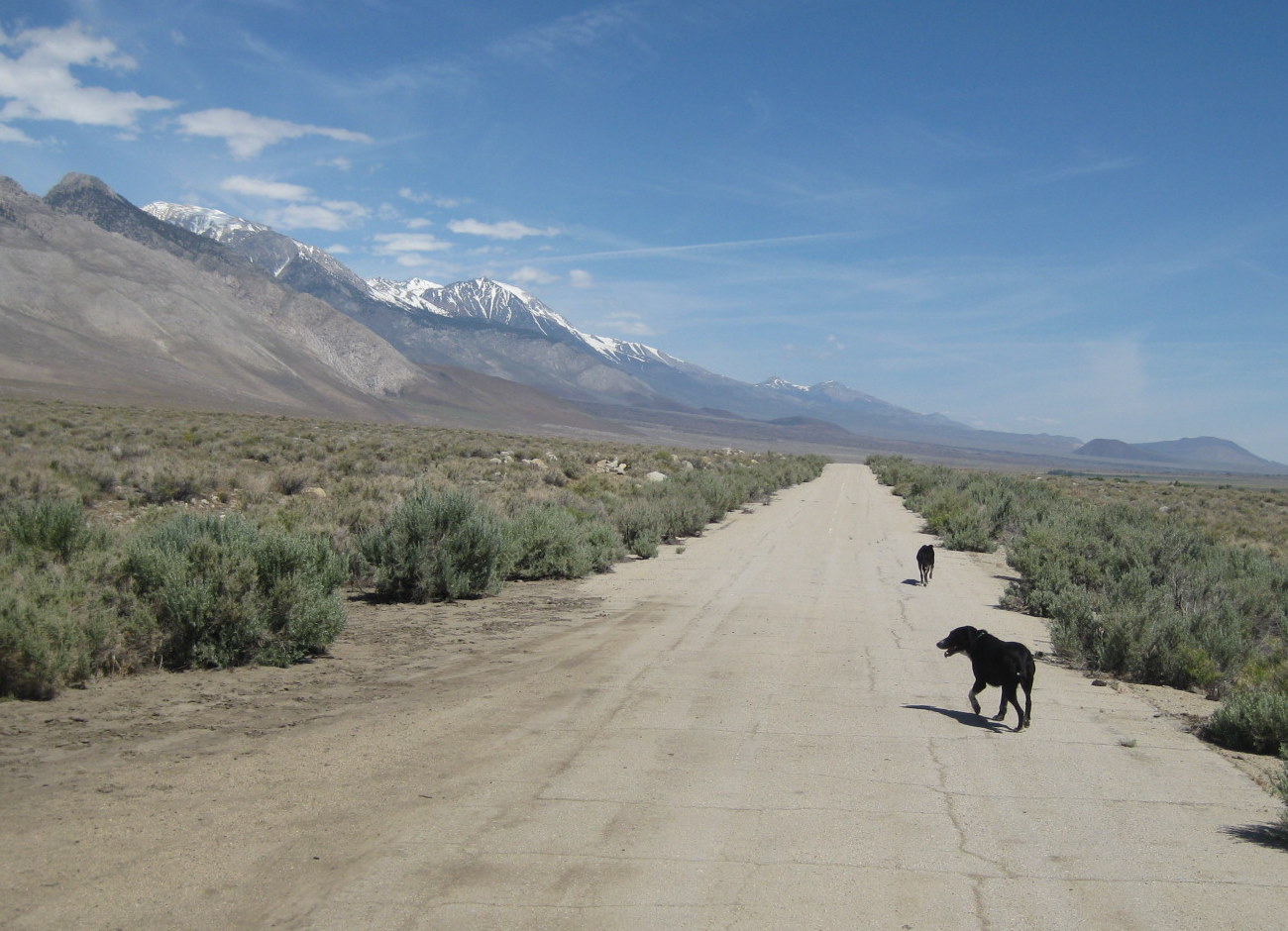 Lacey Family Ranch Blog: Walking in the Owens Valley