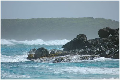 C-リスト= The Cee List: Mustique Island/Macaroni Beach