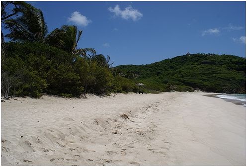 C-リスト= The Cee List: Mustique Island/Macaroni Beach