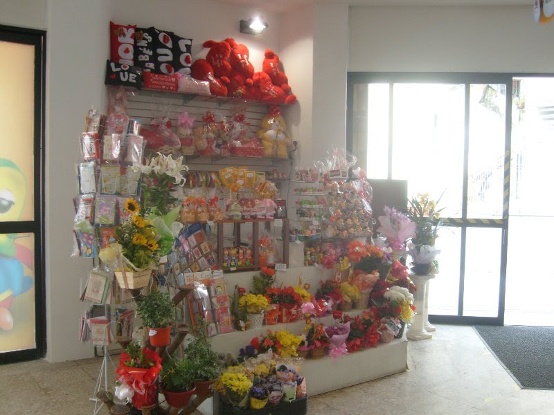 Mundo das Flores - Shopping Piedade L3 Fone 33285929 / Salvador ...