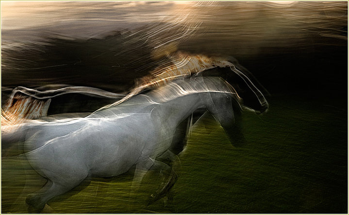 Soltar las riendas : compartiendo sensaciones sobre la Vida