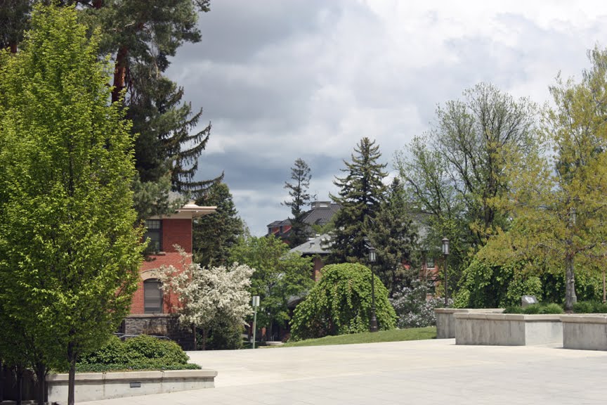 The World Through Silvyr's Eyes: A Trip to Visit Cade