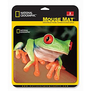 Red-eyed tree frogs.....how cute are these? - Ben and Me