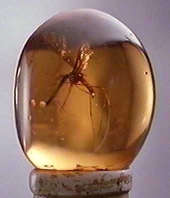 Crystals and Gemstones: Semi Precious Gemstones: Facts and Information ...