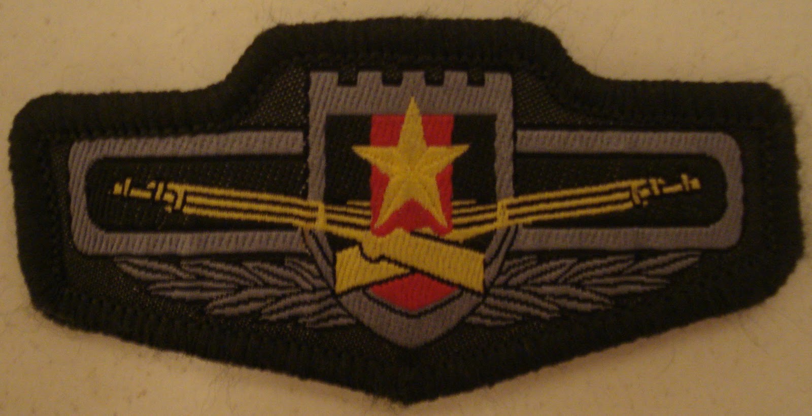Milestone or tombstone?: PLA type 07 army chest patch