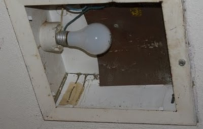 Theatre Safety Blog: Sorry Miss, but you have to cover that up, it's ...