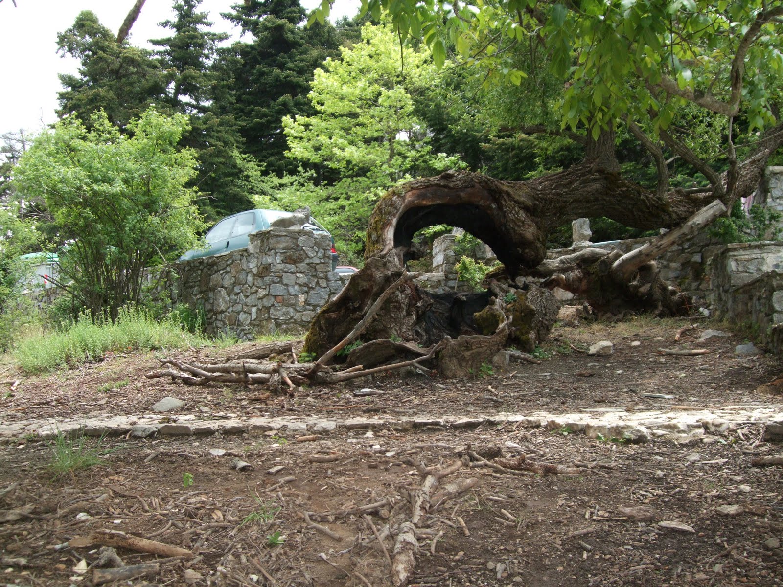 kolopaido: ΠΑΡΝΗΘΑ