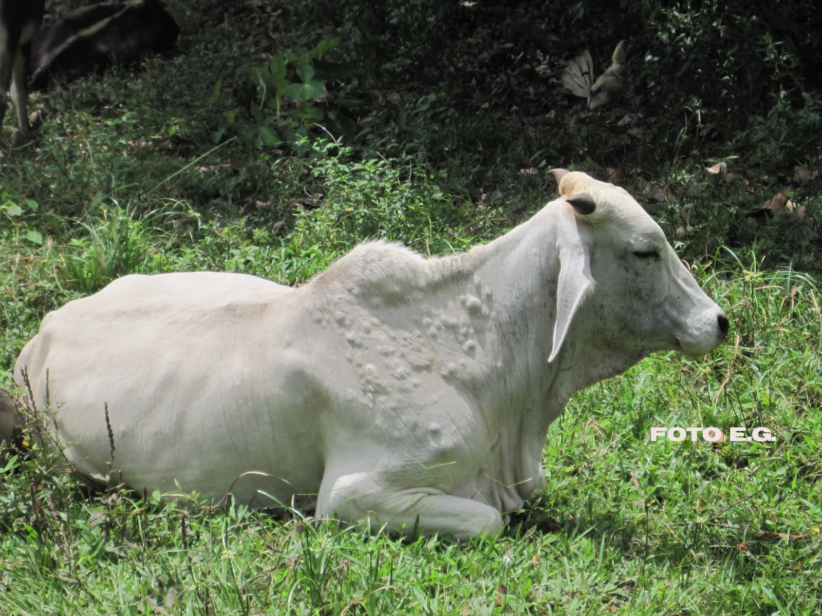 CREETELO: Hijo es un ser que nos prestaron para un curso intensivo de ...