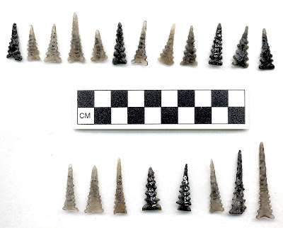 Oddities Curios and Other repressed Emotions: Snaketown - Hohokam village