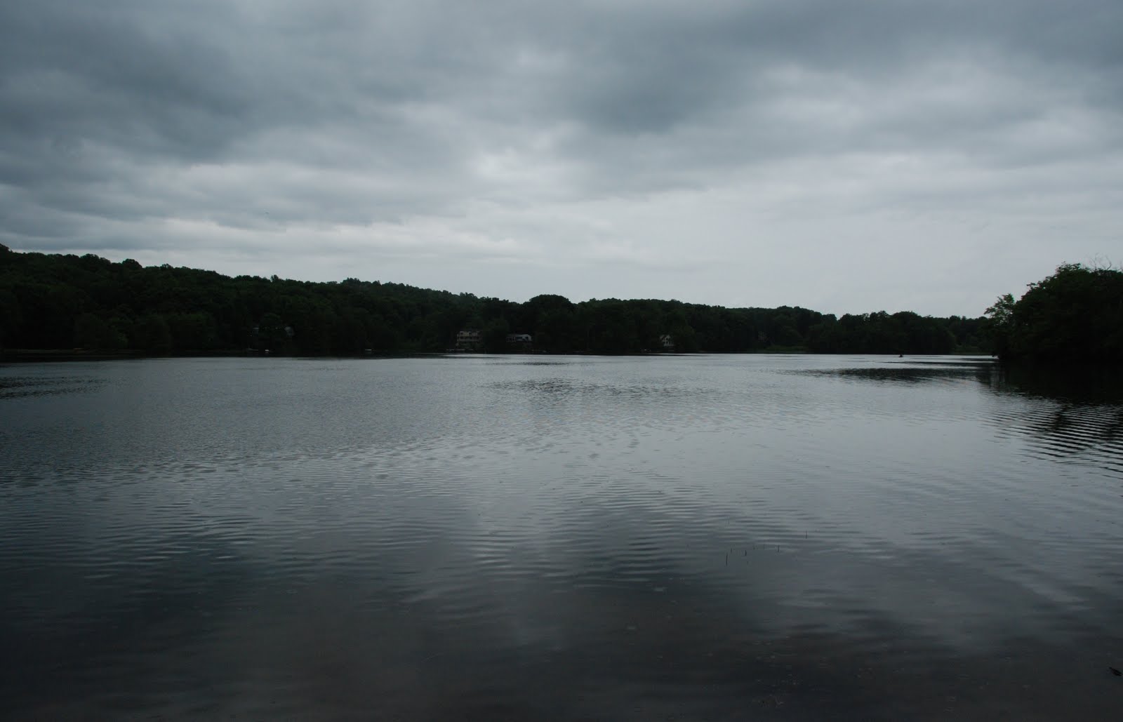 The View from Steve's camera: June 2010