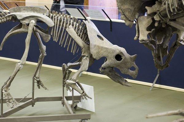 Coherent Lighthouse: Impressions of a Visit to the Origins Museum