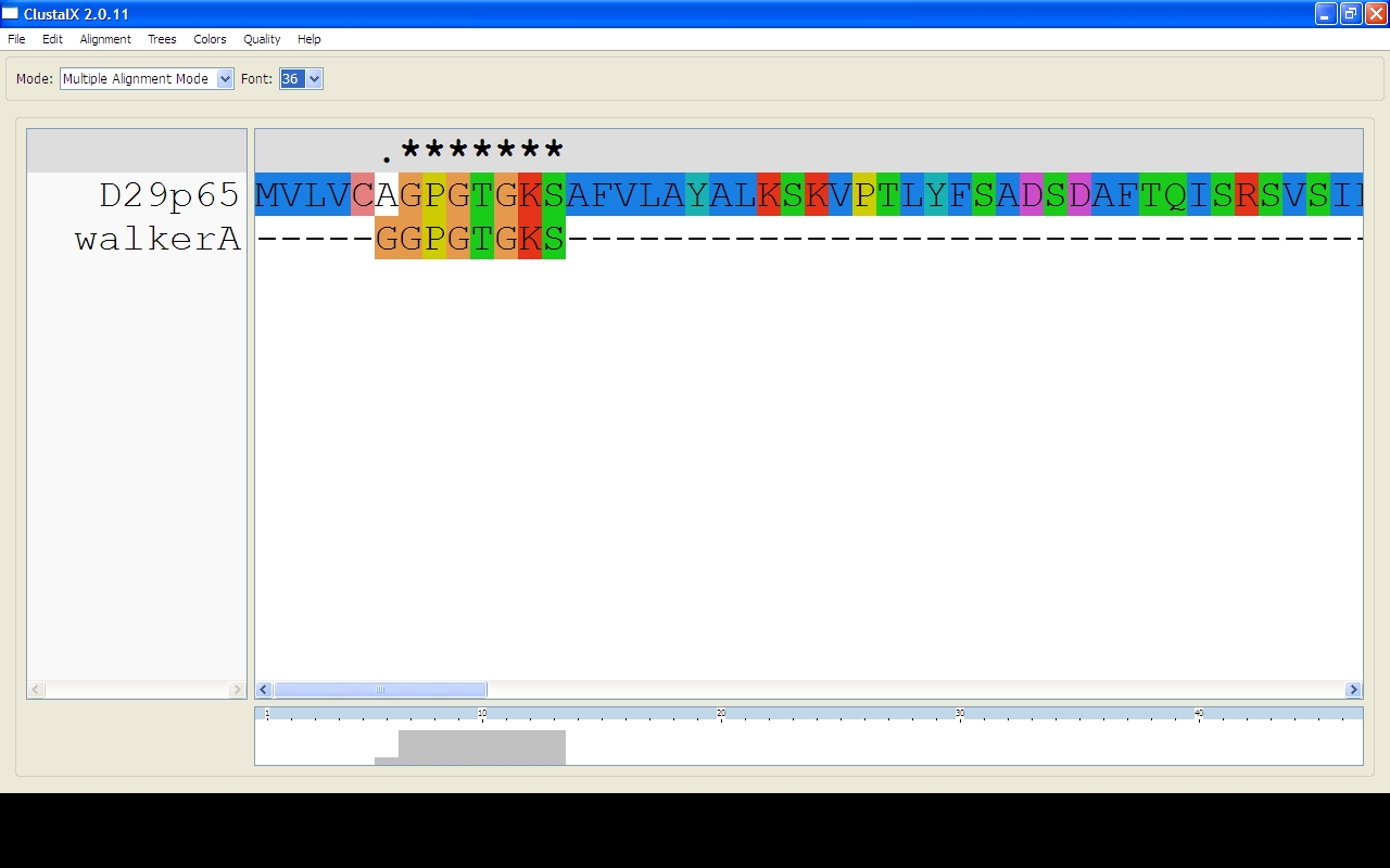 Phage therapy subjects from Sellano town : How to find Walker A motif ...