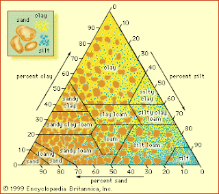 be a GEOGRAPH: The Relation Between SoilsTexture and Water Holding Capacity