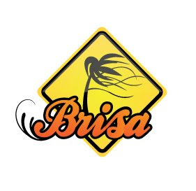 Brisa Brasil: Grupo Brisa ! A Liga extraordinária...