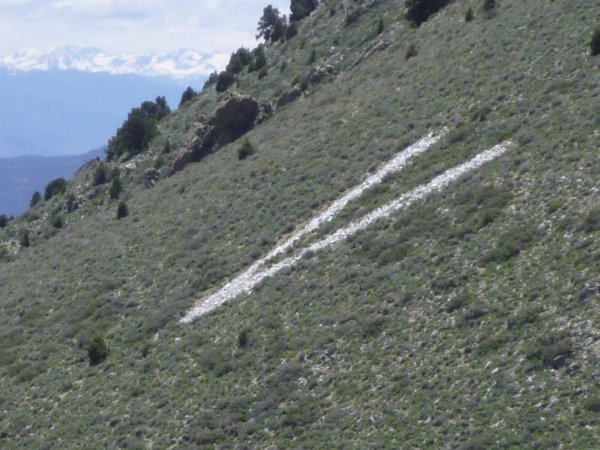Trailing Ahead: Above Virginia City: climbing Mount Davidson, the ...