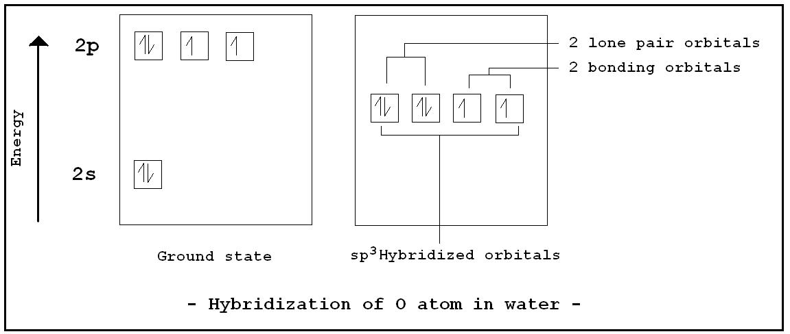 Hybridization Of Oxygen
