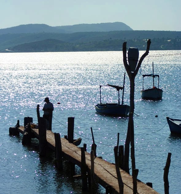 Pedro's Island: Jibara