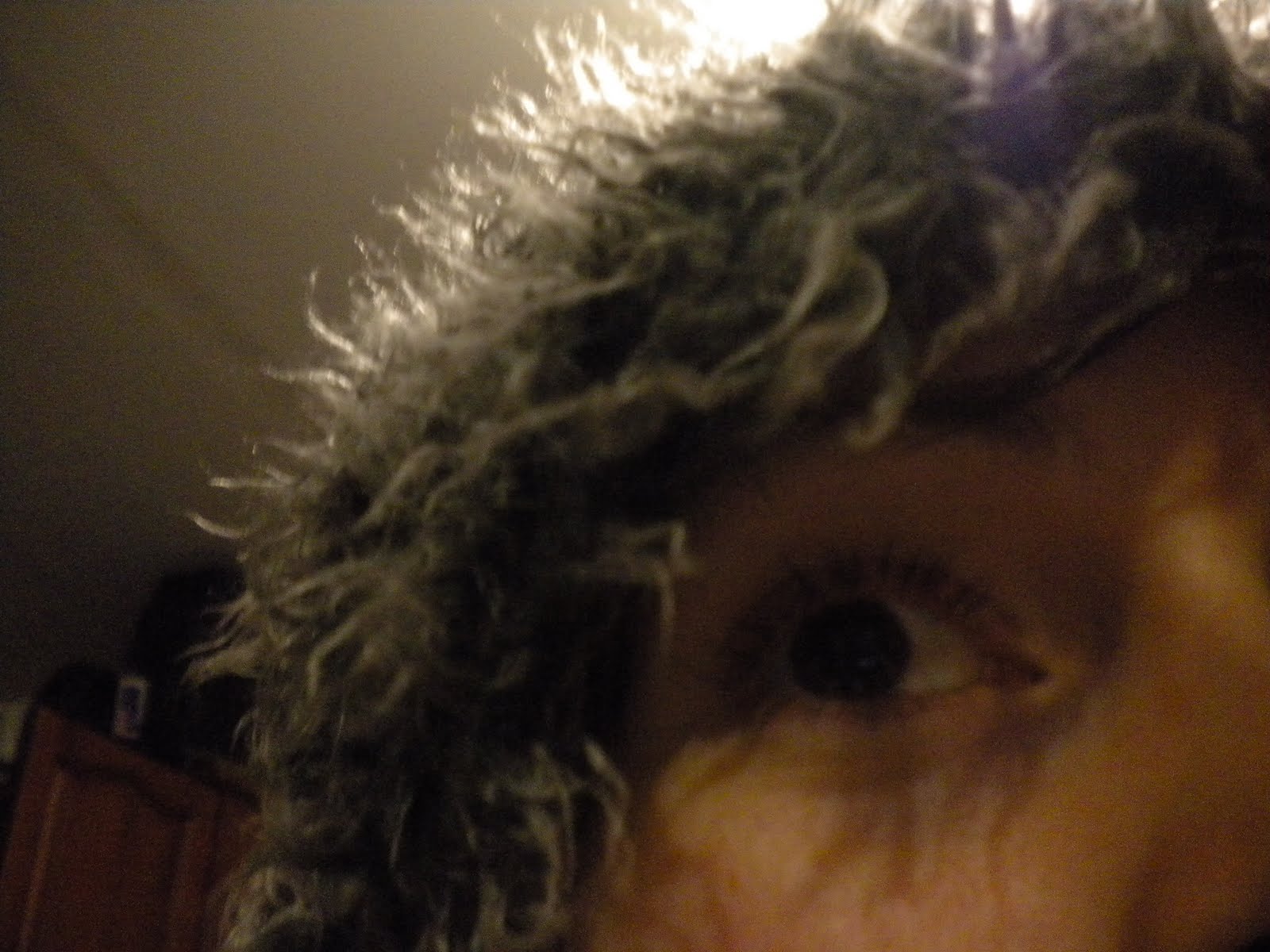 Groteskology: August 2010