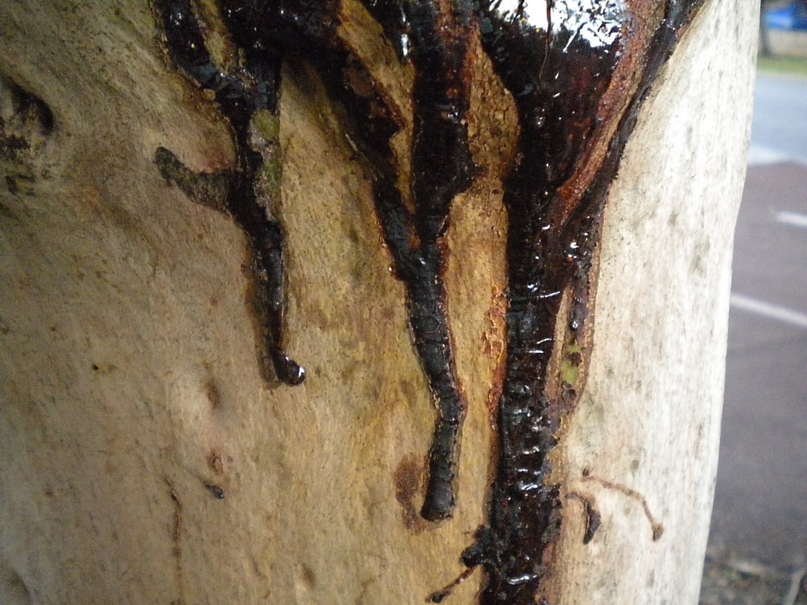 Groteskology: August 2010