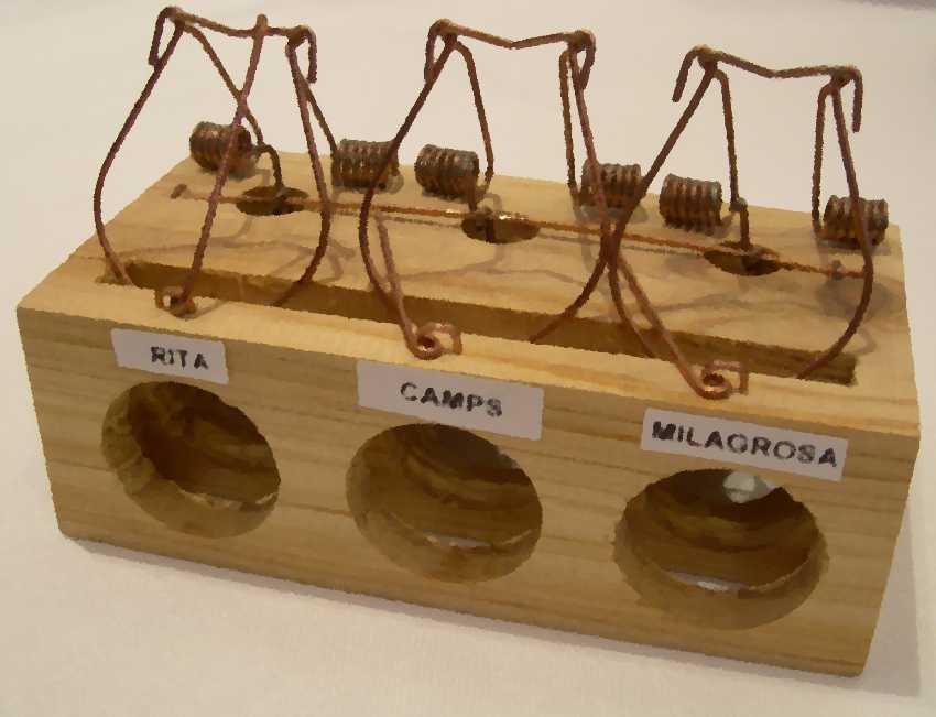 Eines de Llengua: El regal de la ratera