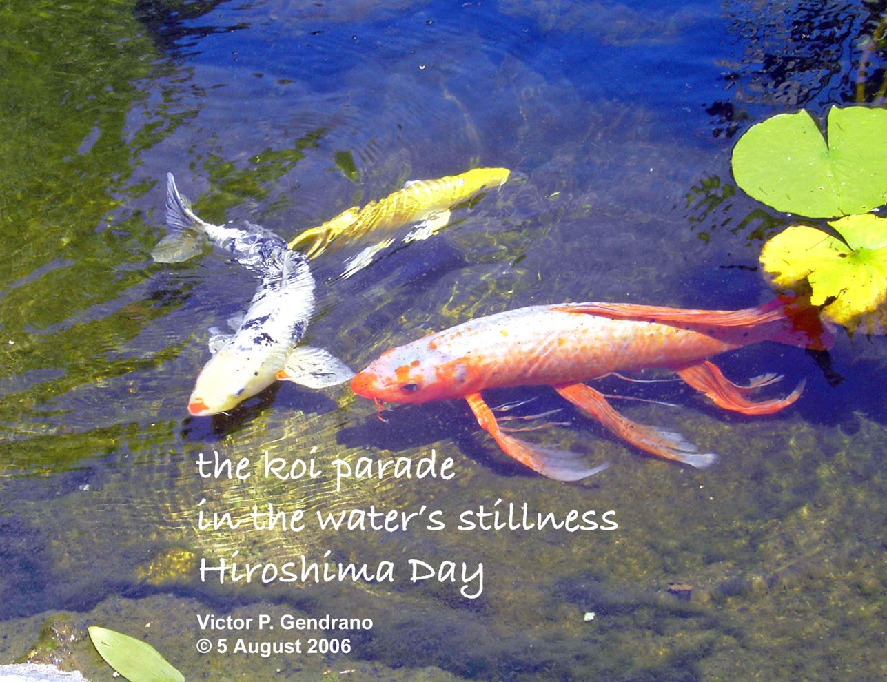 HAIKU AND TANKA HARVEST: August 2010