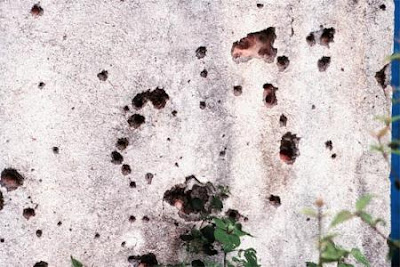 Blog El Trompudo: El Mozote