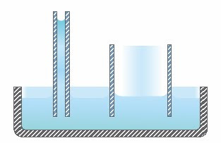 La Ciencia del COBATAB 28... también es divertida...: Las ...