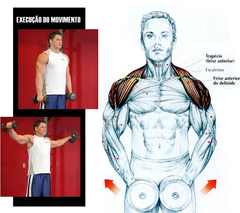 Blog Corpo Perfeito: Os Melhores Exercícios para Ombros