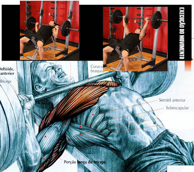 Supino Inclinado ~ Boa Forma Fitness