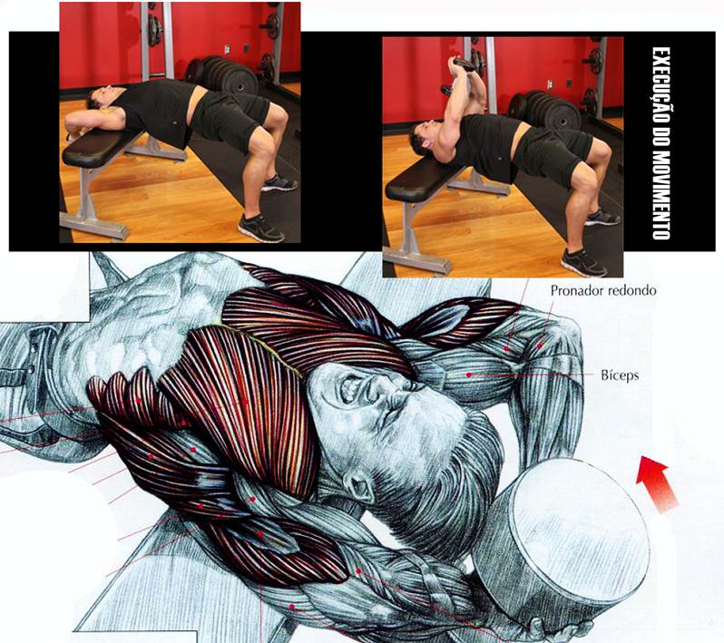 Melhores Exercícios Para O Peitoral ~ Boa Forma Fitness