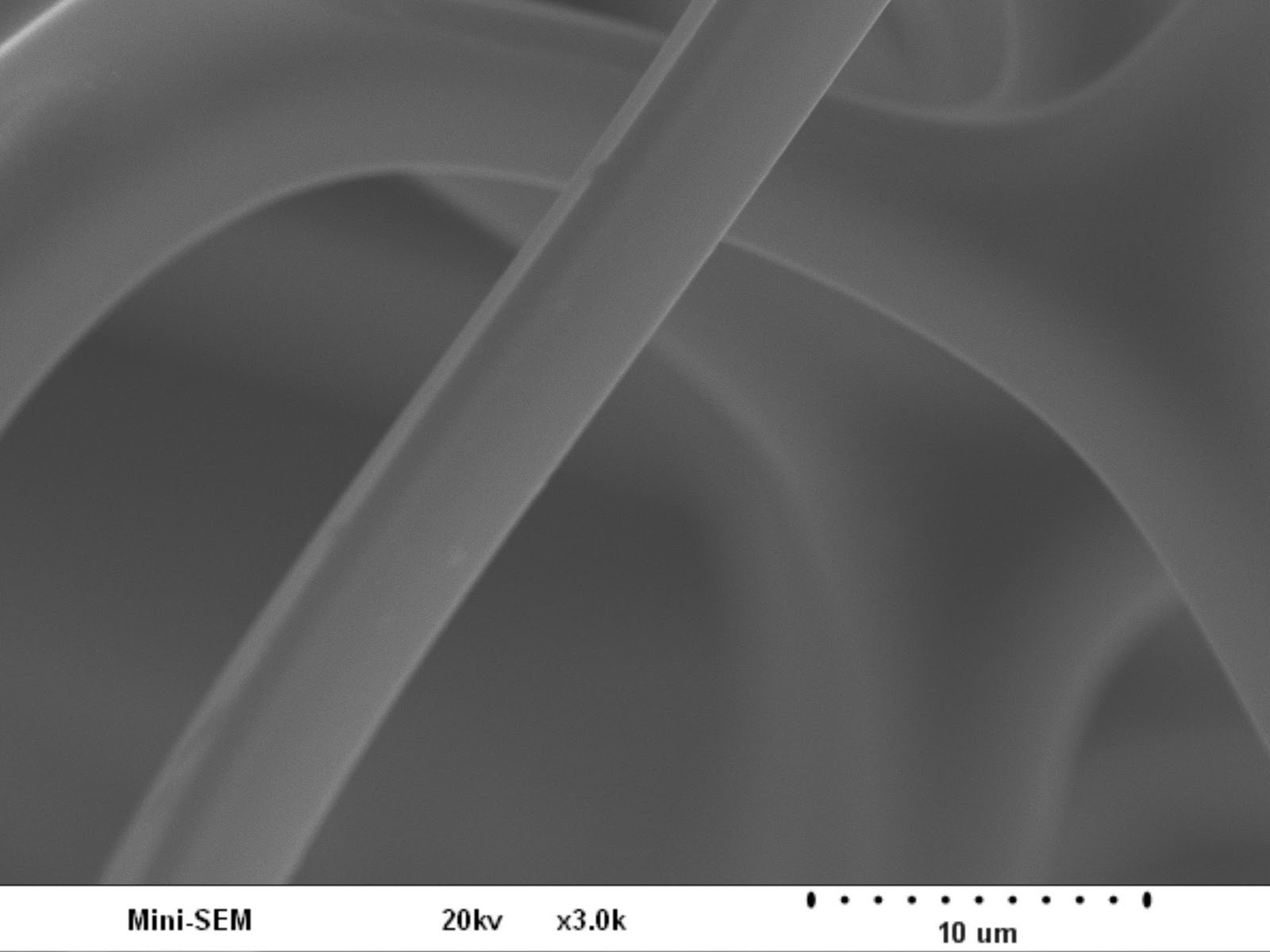 SEC - Scanning Electron Microscope: Mini-SEM Image - Foamed Plastic