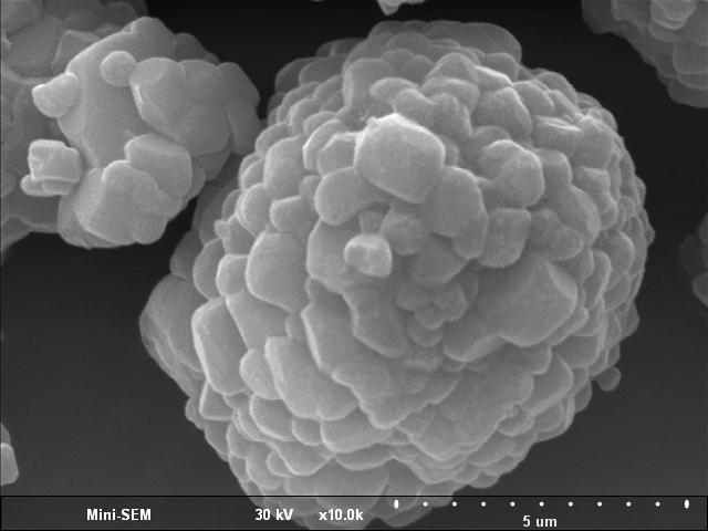 SEC - Scanning Electron Microscope: Battery Electrode Powder - Mini-SEM ...