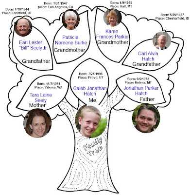 Y Not?: Family Tree