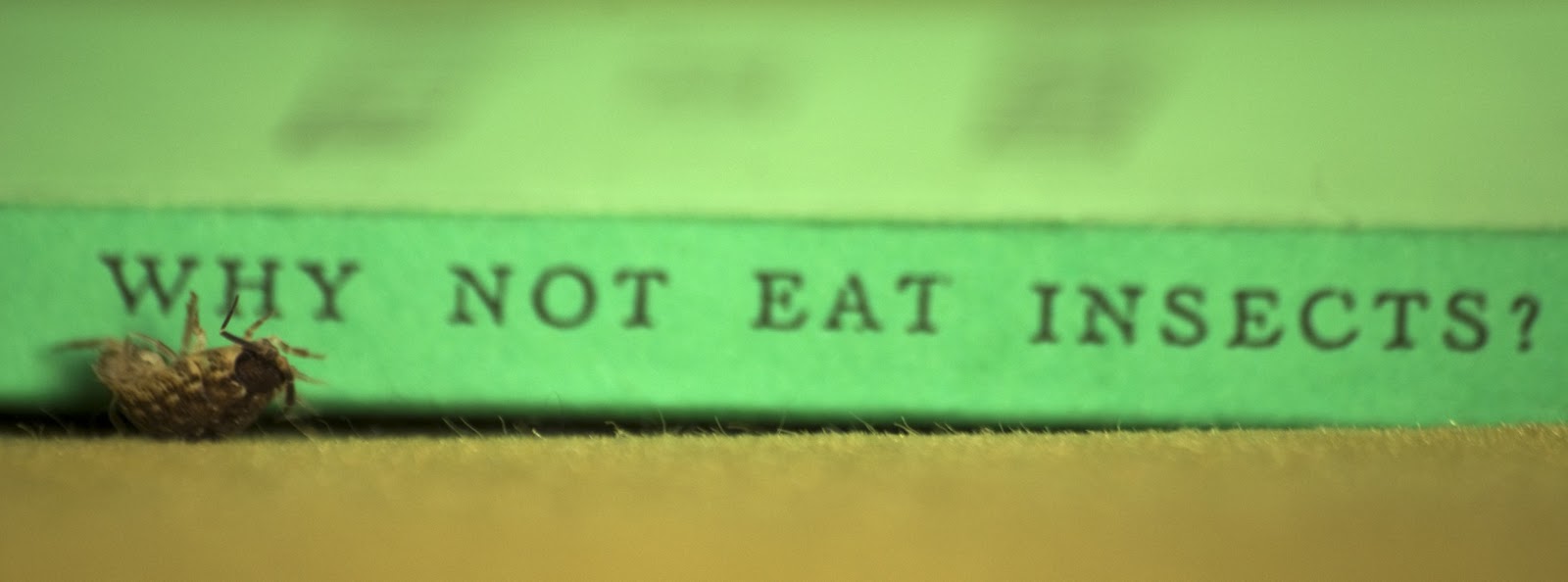 A Scoffy Egg: October 2010