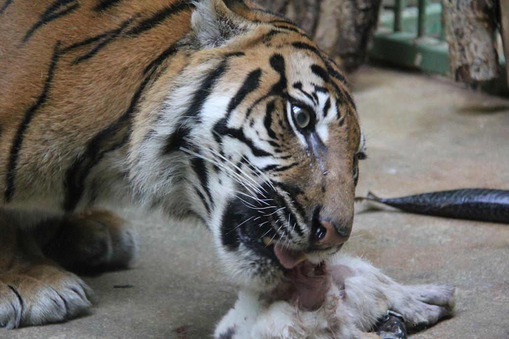 Olivia's European Holiday: Prague Day 2