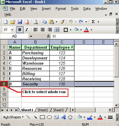 EveryDay Solutions: Insert Row x Column in Excel