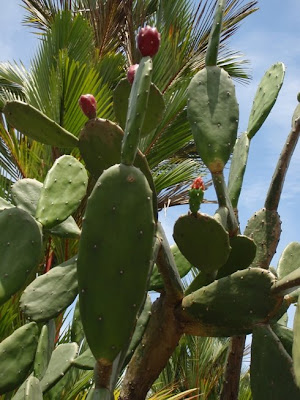 Greener Pastures: February 2009