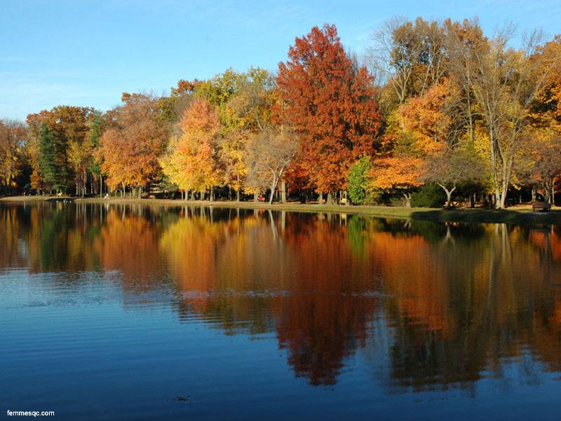 BEST WALLPAPERS HERE !: Toamna