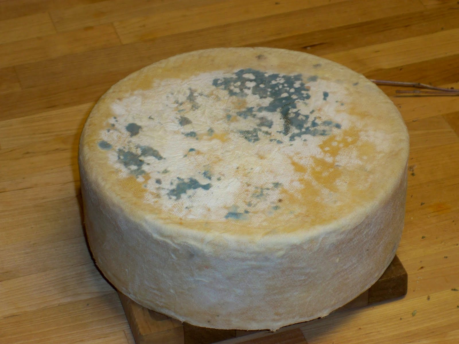 Large Format Cheddar