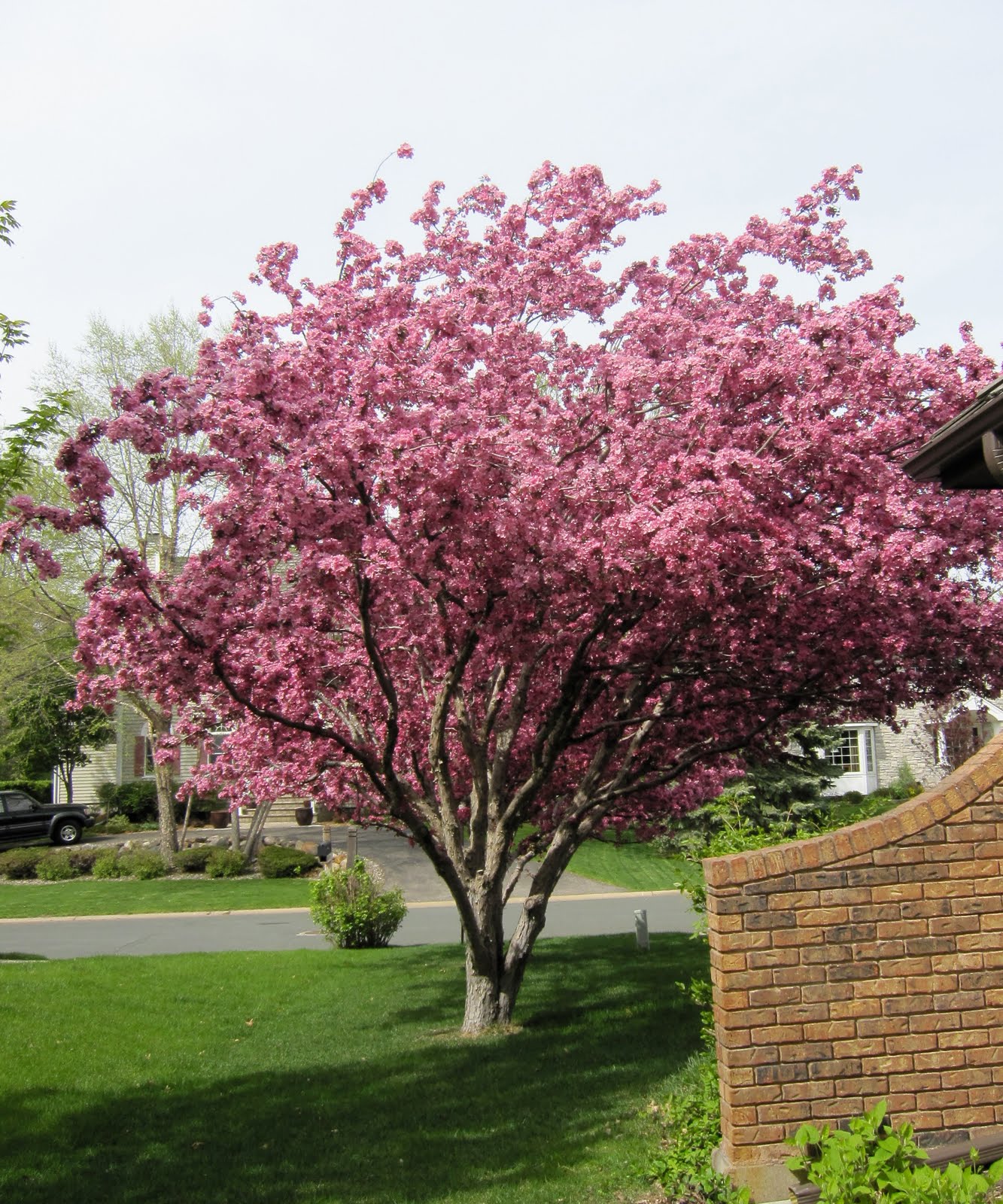 The Lazy Peacock: April 2010