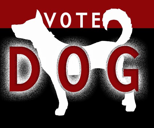 dog blog for glencadia.com dog camp: vote dog