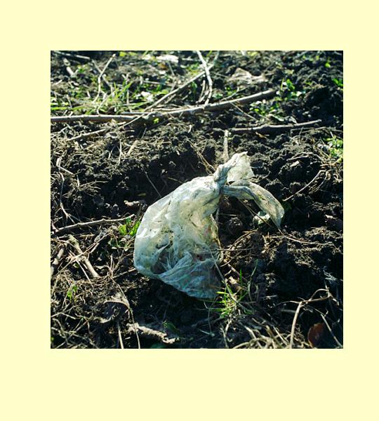 Manchester Photography: Bag(s) of Shite.